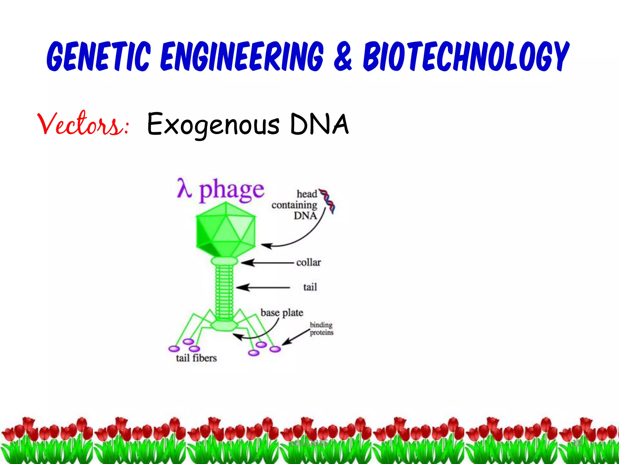 Genetic Engineering and Biotechnology | PDF
