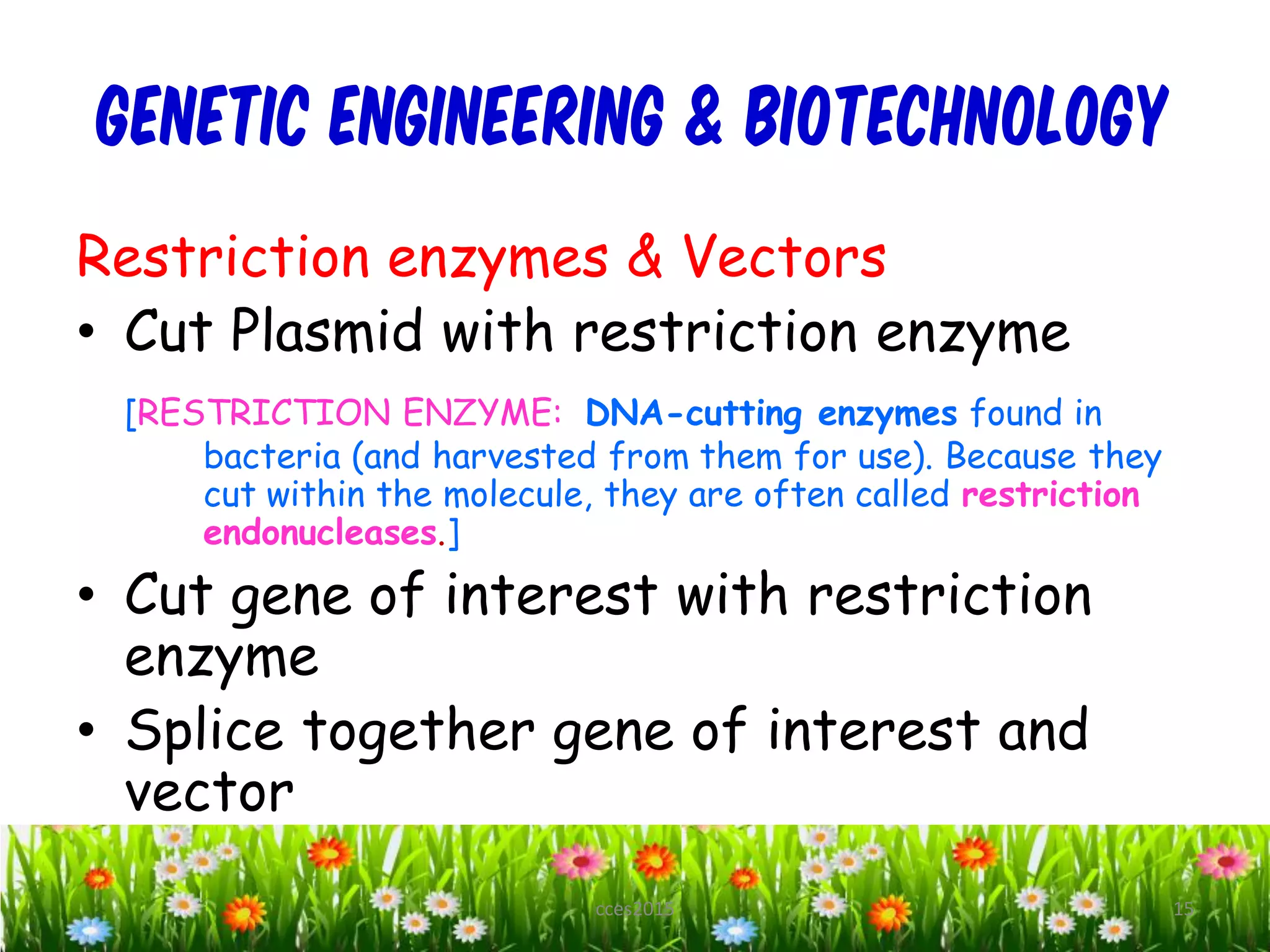 Genetic Engineering and Biotechnology | PDF