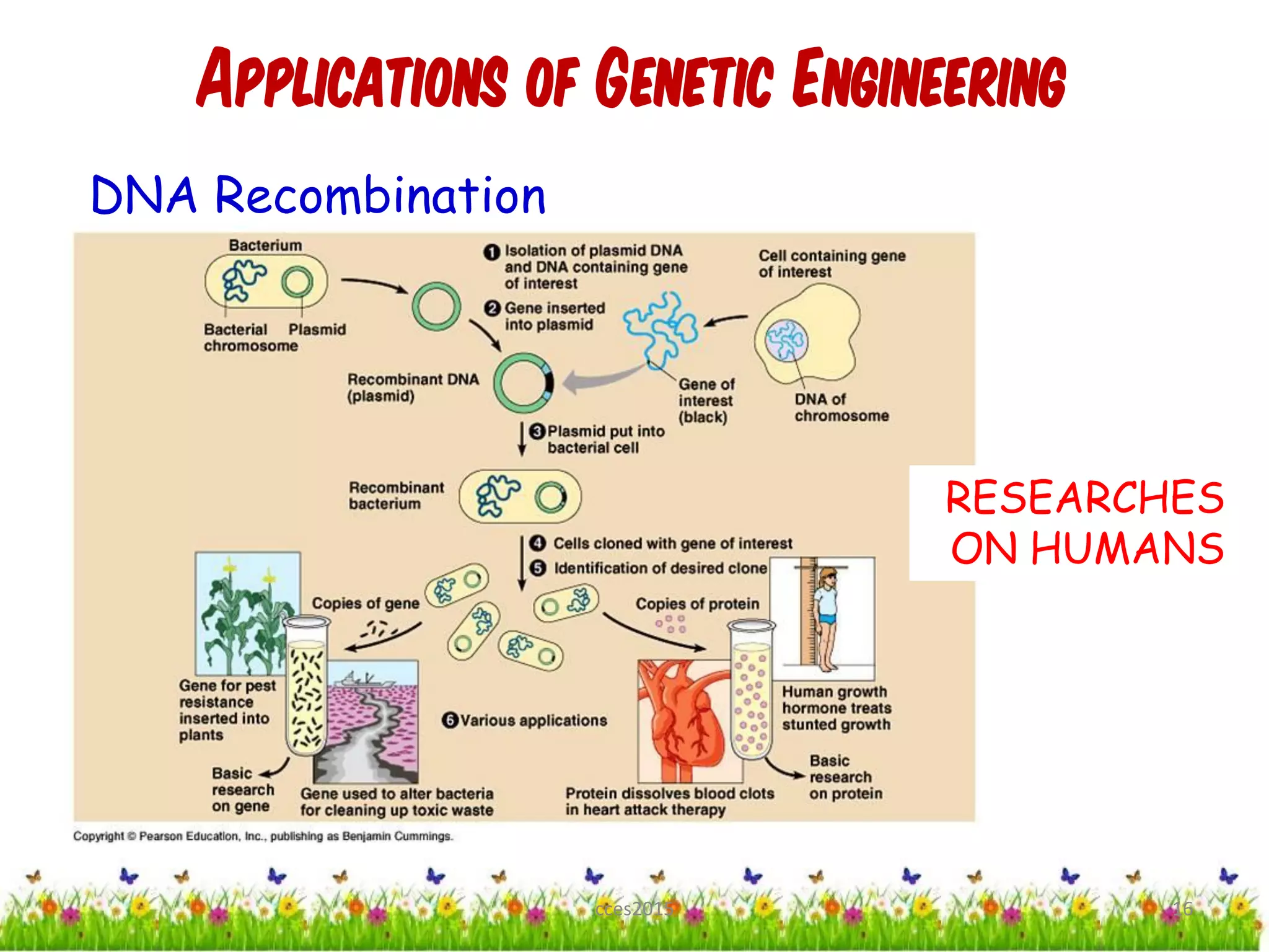 Genetic Engineering and Biotechnology | PDF