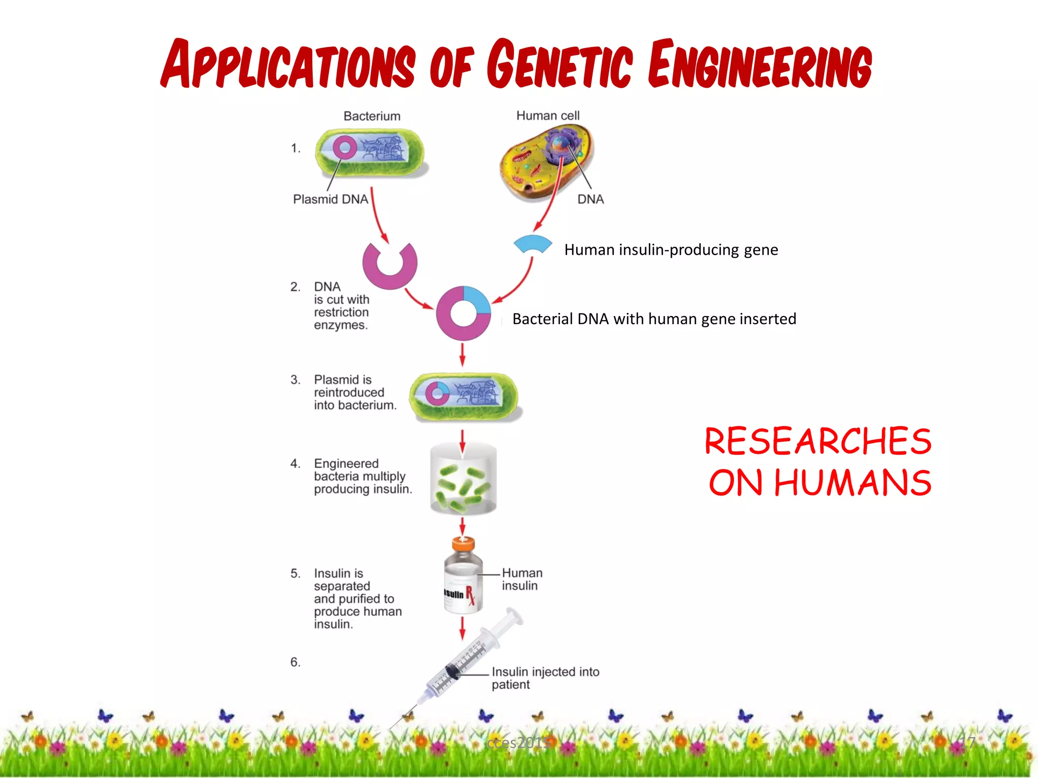 Genetic Engineering and Biotechnology | PDF