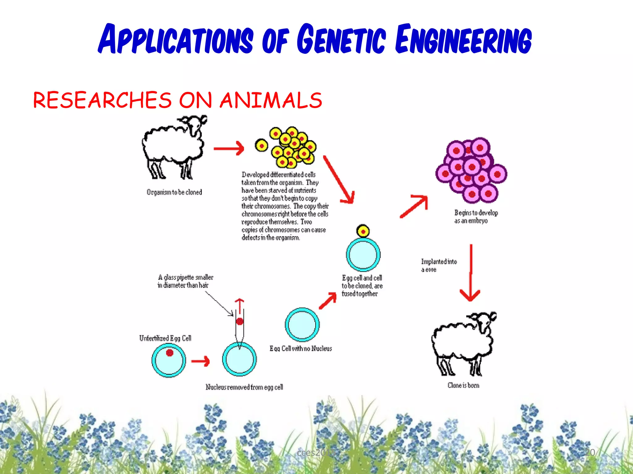 Genetic Engineering and Biotechnology | PDF