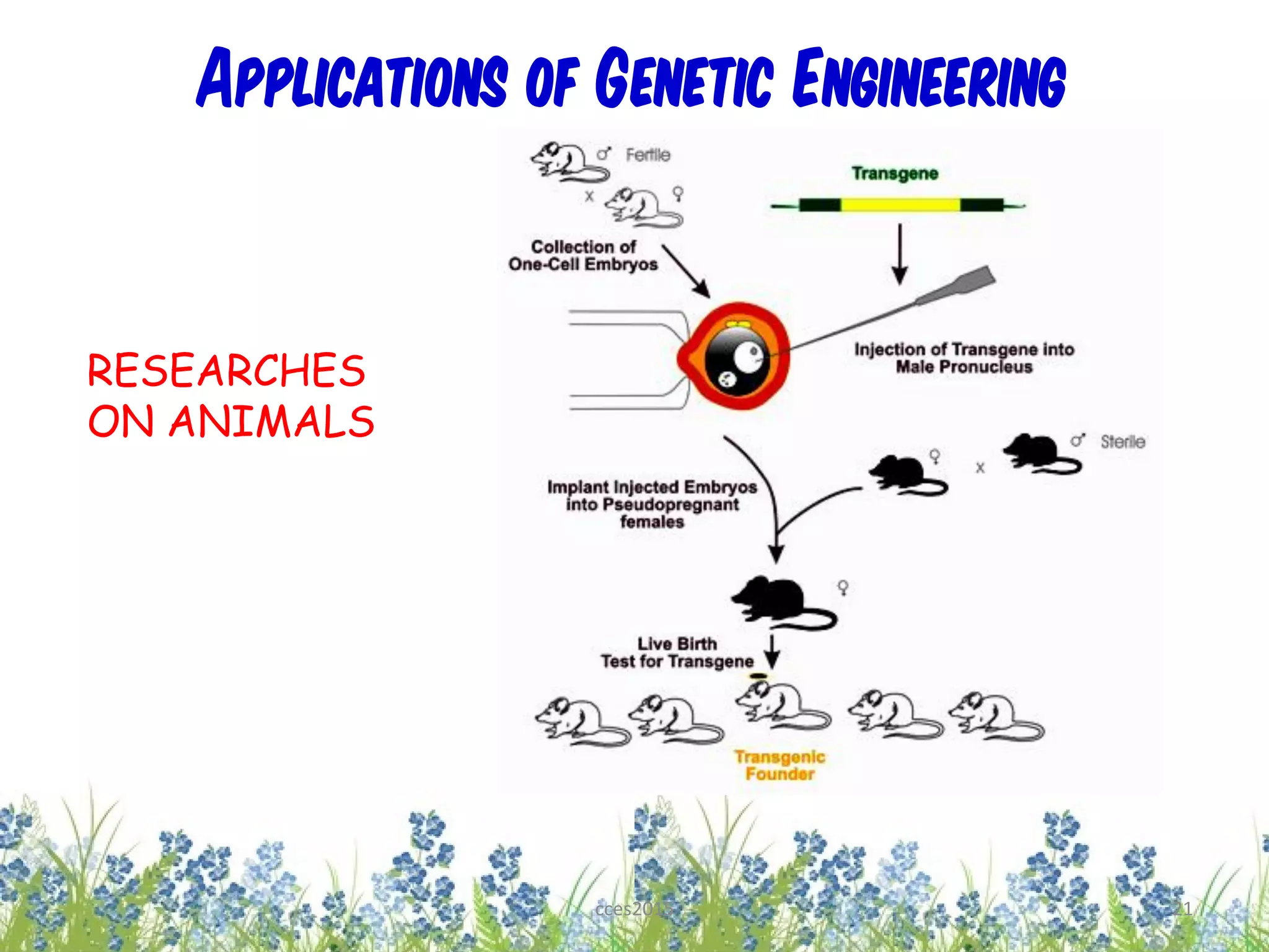 Genetic Engineering and Biotechnology | PDF
