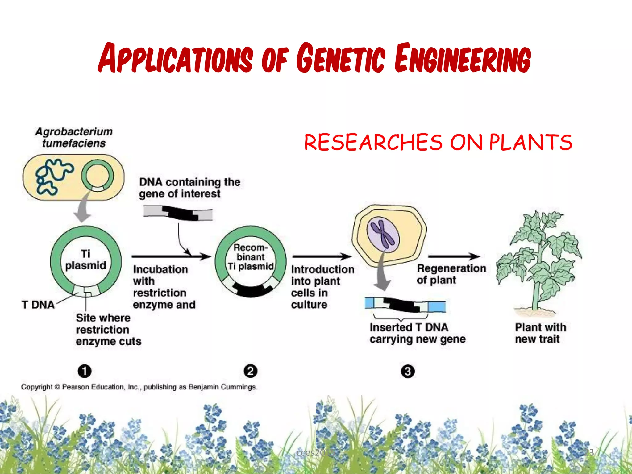 Genetic Engineering and Biotechnology | PDF