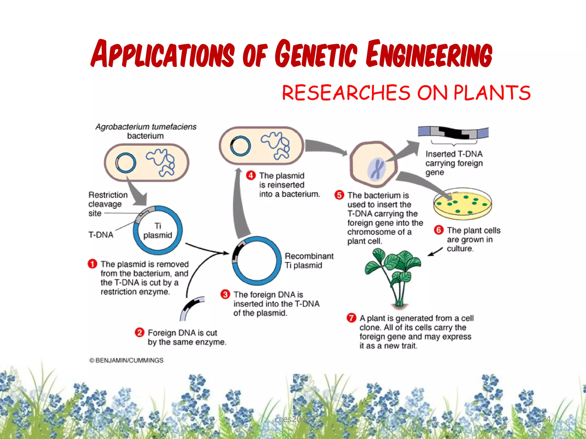 Genetic Engineering and Biotechnology | PDF