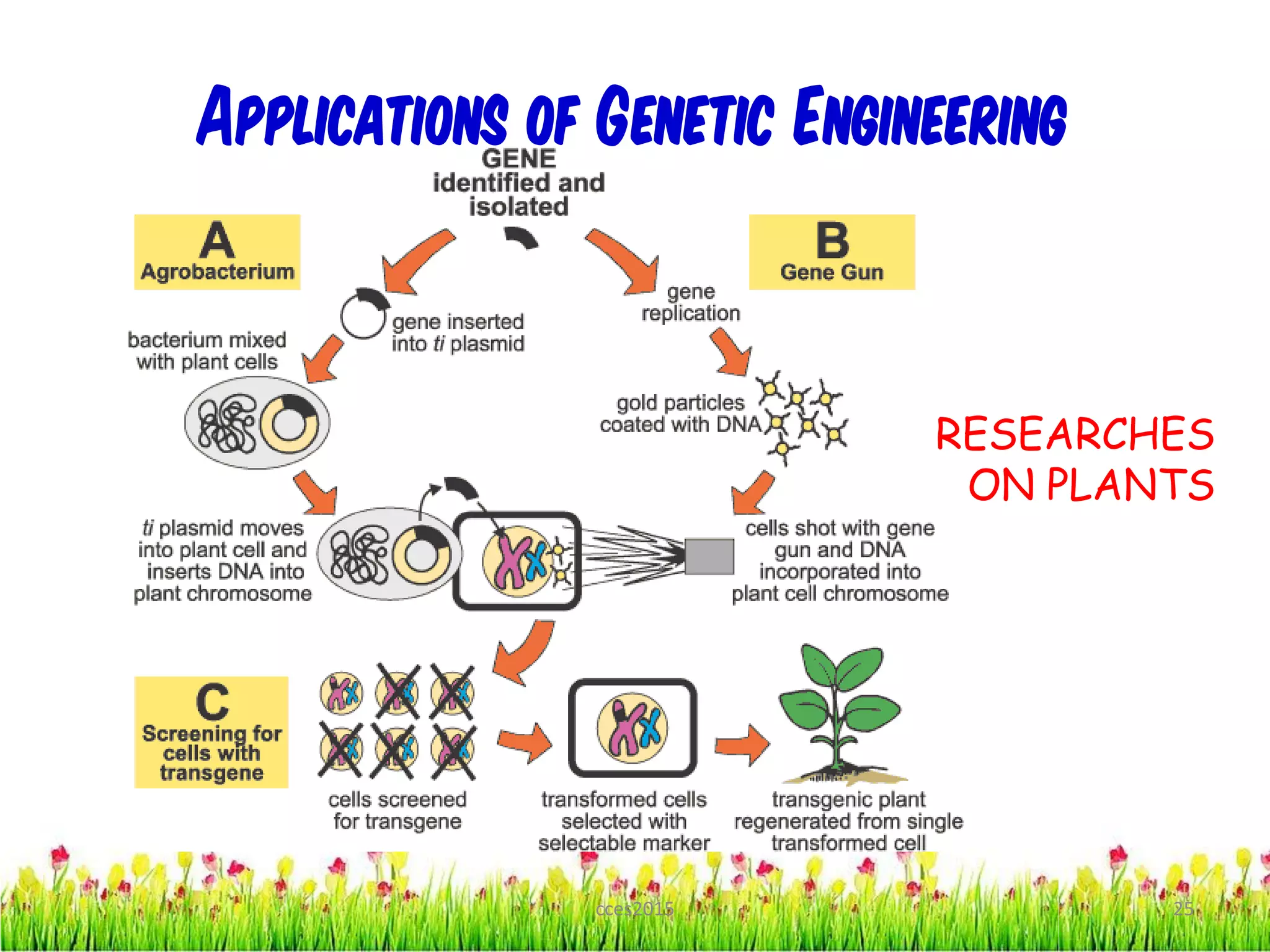 Genetic Engineering and Biotechnology | PDF
