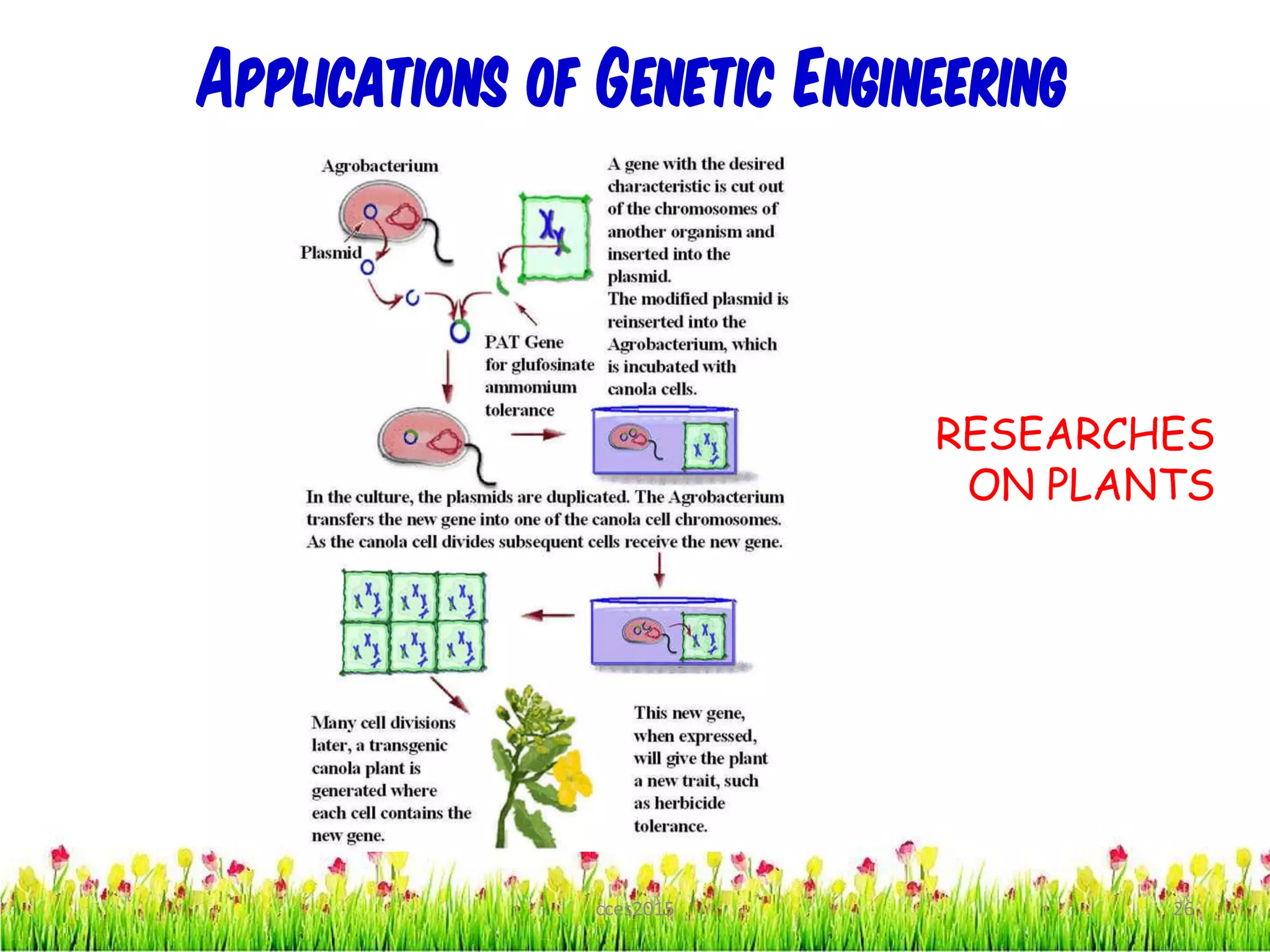Genetic Engineering and Biotechnology | PDF