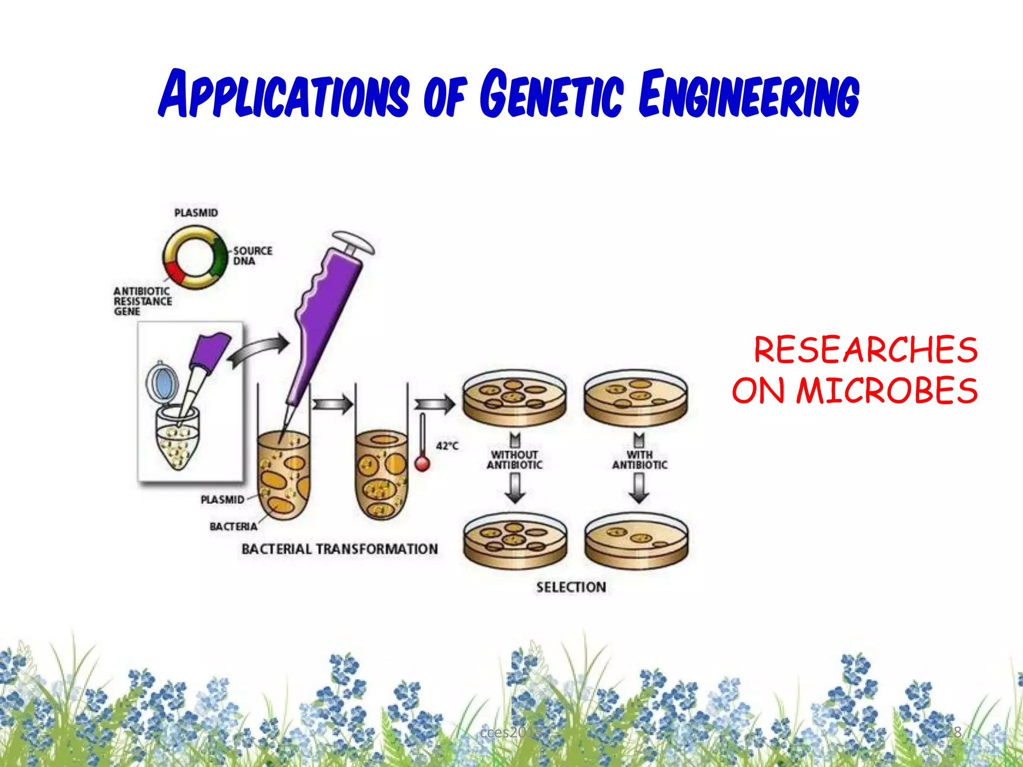 Genetic Engineering and Biotechnology | PDF