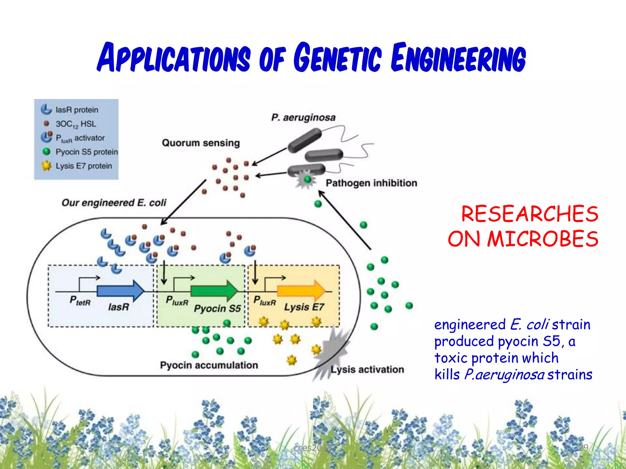 Genetic Engineering and Biotechnology | PDF