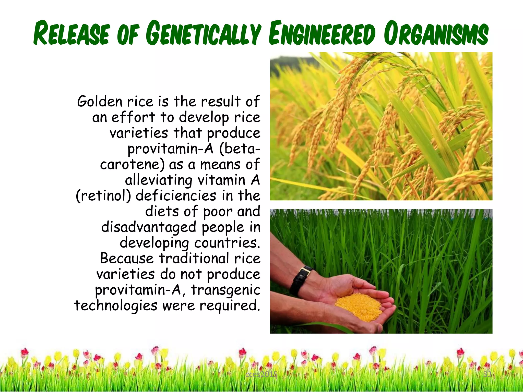 Genetic Engineering and Biotechnology | PDF