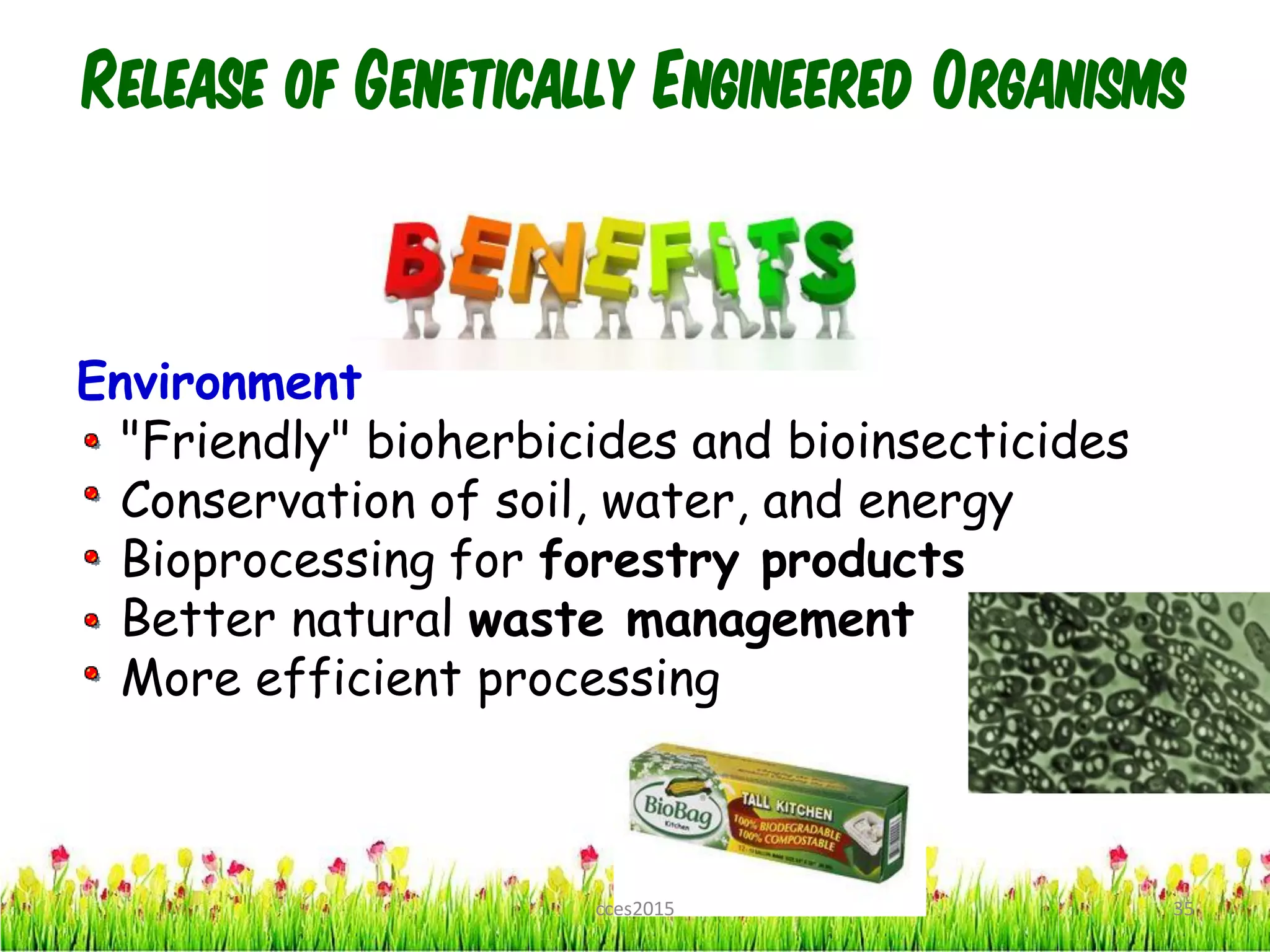 Genetic Engineering and Biotechnology | PDF