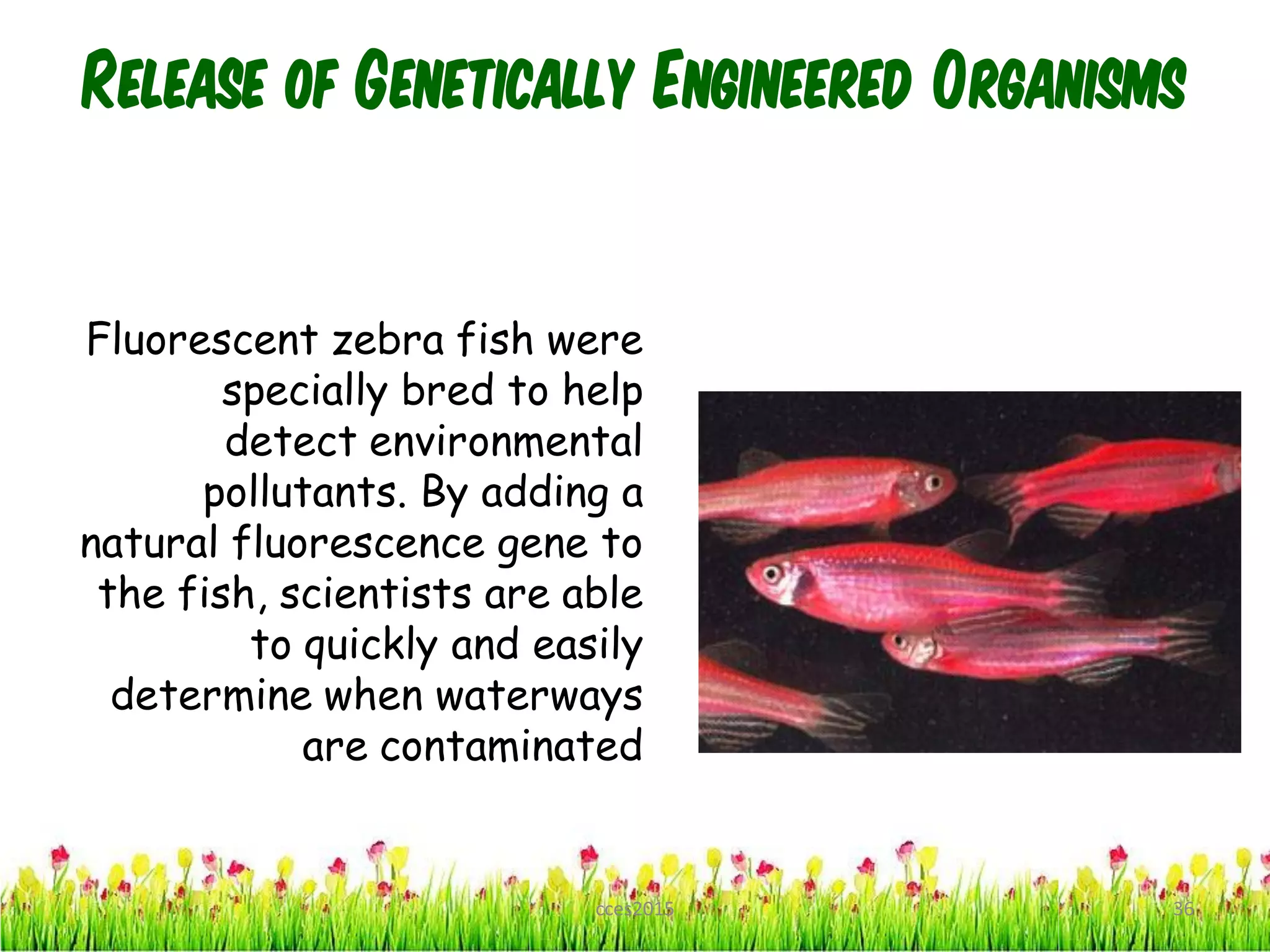 Genetic Engineering and Biotechnology | PDF