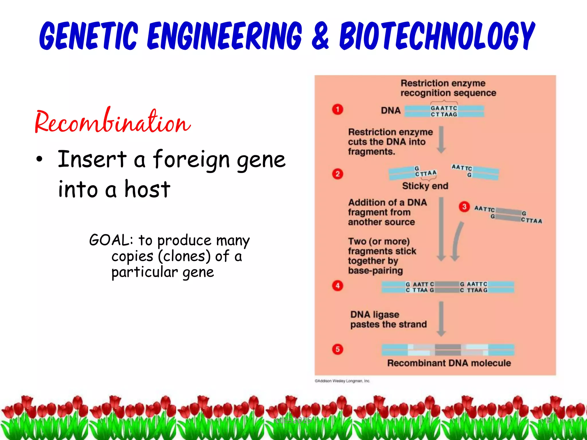 Genetic Engineering and Biotechnology | PDF