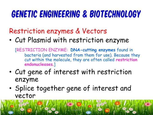Genetic Engineering and Biotechnology | PDF