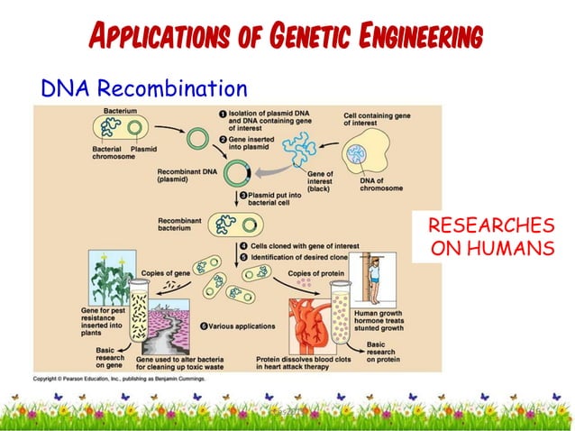Genetic Engineering and Biotechnology | PDF