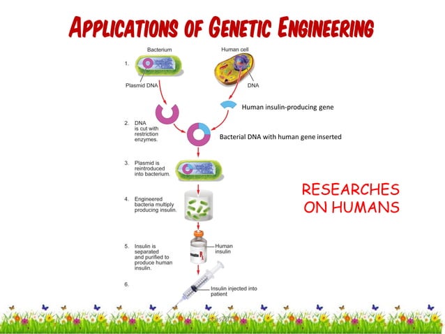 Genetic Engineering and Biotechnology | PDF