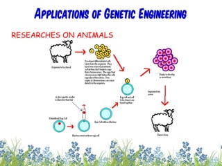 Genetic Engineering and Biotechnology | PDF