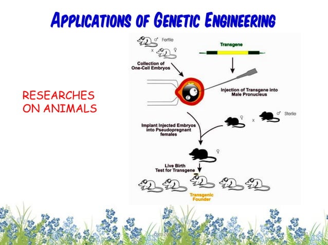 Genetic Engineering and Biotechnology | PDF