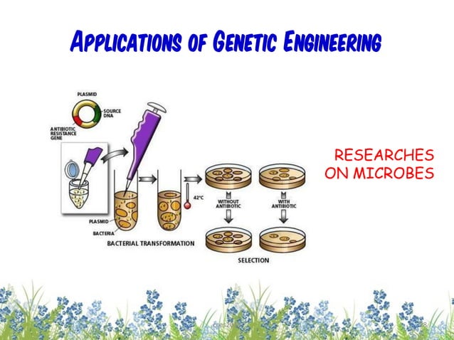 Genetic Engineering and Biotechnology | PDF