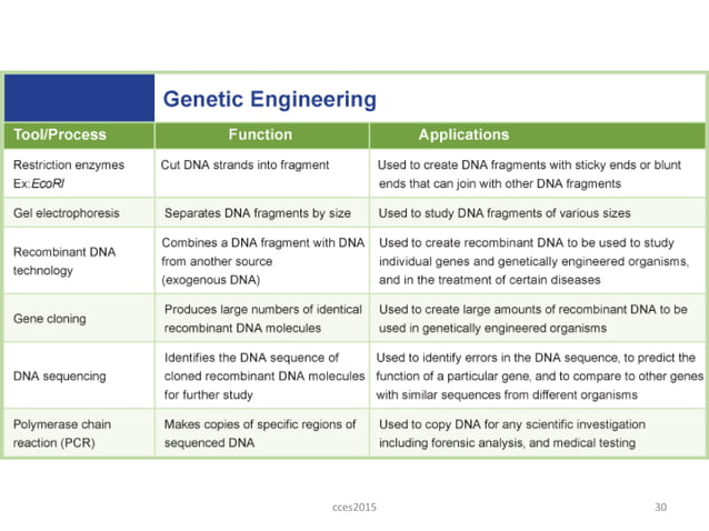 Genetic Engineering and Biotechnology | PDF