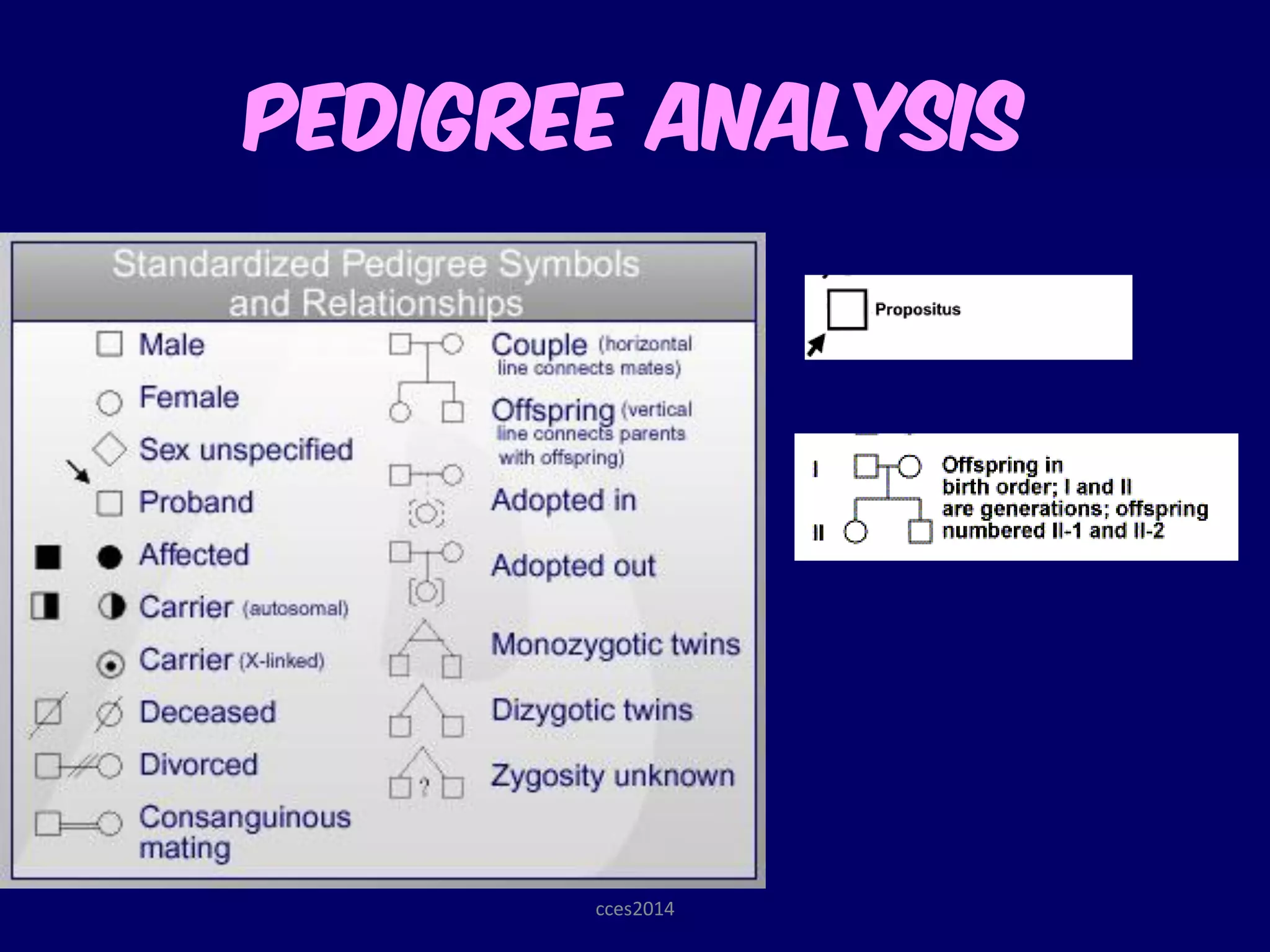 General Genetics: Gene Segregation and Integration (Part 3) | PDF