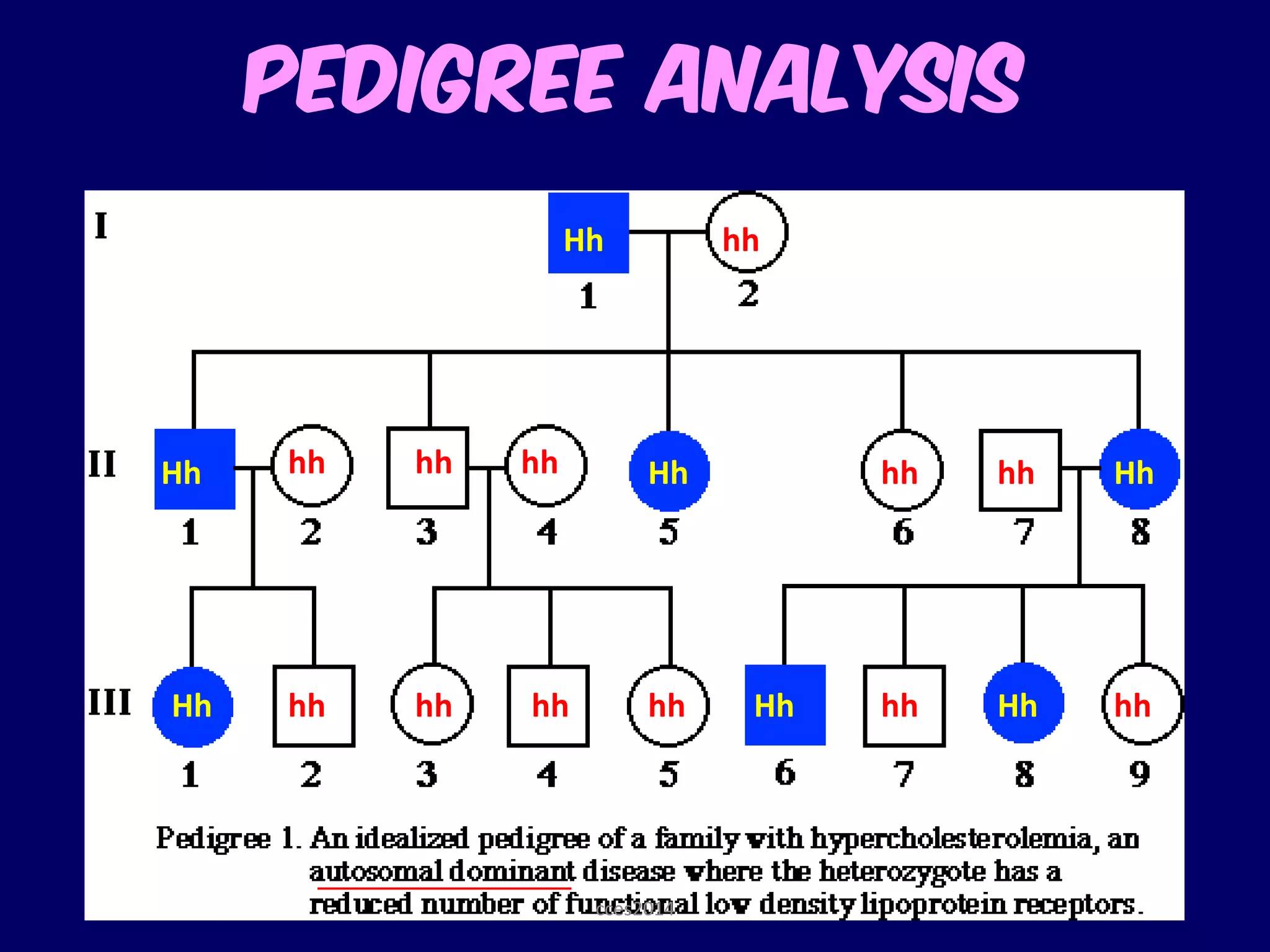 General Genetics: Gene Segregation and Integration (Part 3) | PDF