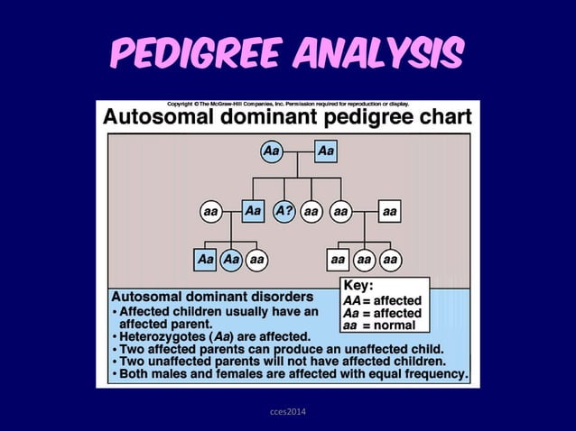 General Genetics: Gene Segregation and Integration (Part 3) | PDF