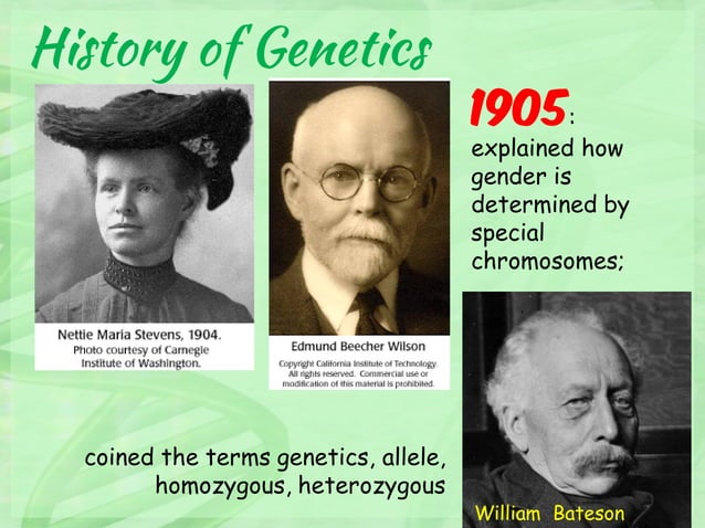 General Genetics Lec 1 | PDF | Genetics | Science