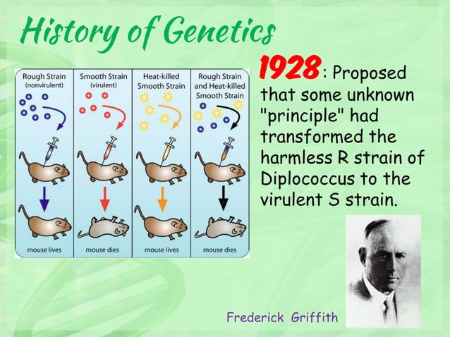 General Genetics Lec 1 | PDF | Genetics | Science