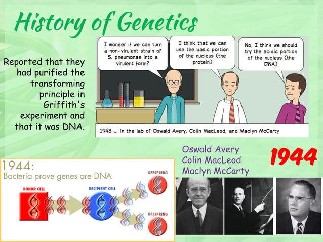 General Genetics Lec 1 | PDF | Genetics | Science