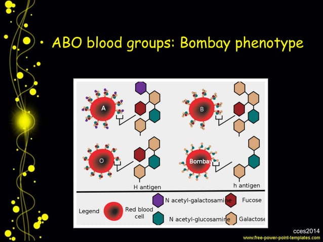General Genetics: Gene Segregation and Integration (Part 1) | PDF