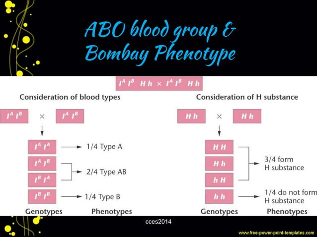 General Genetics: Gene Segregation and Integration (Part 1) | PDF