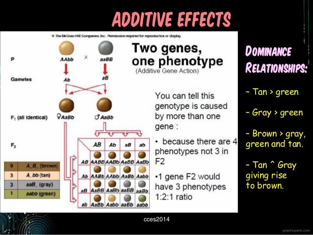 General Genetics: Gene Segregation and Integration (Part 2)