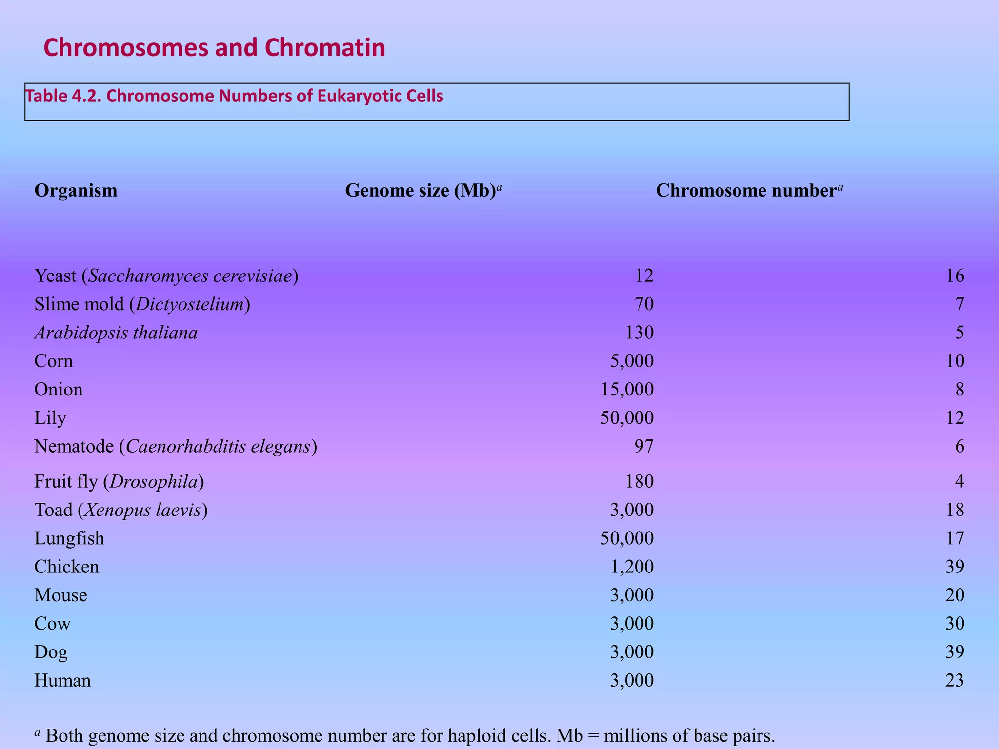 Bio108 Cell Biology lec 4 The Complexity of Eukaryotic Genomes | PPTX