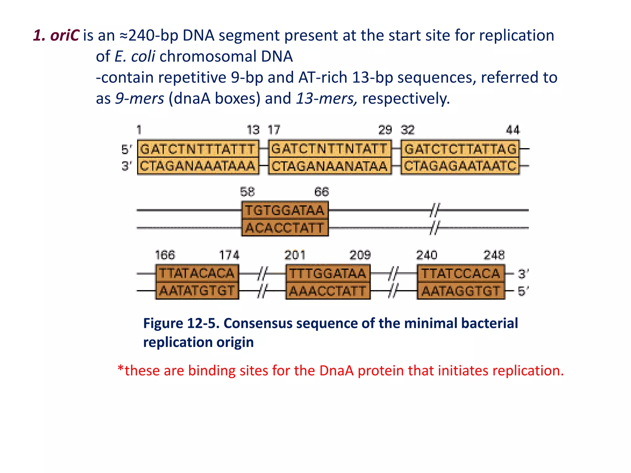 Bio108 Cell Biology lec 5 DNA REPLICATION, REPAIR and RECOMBINATION | PPT