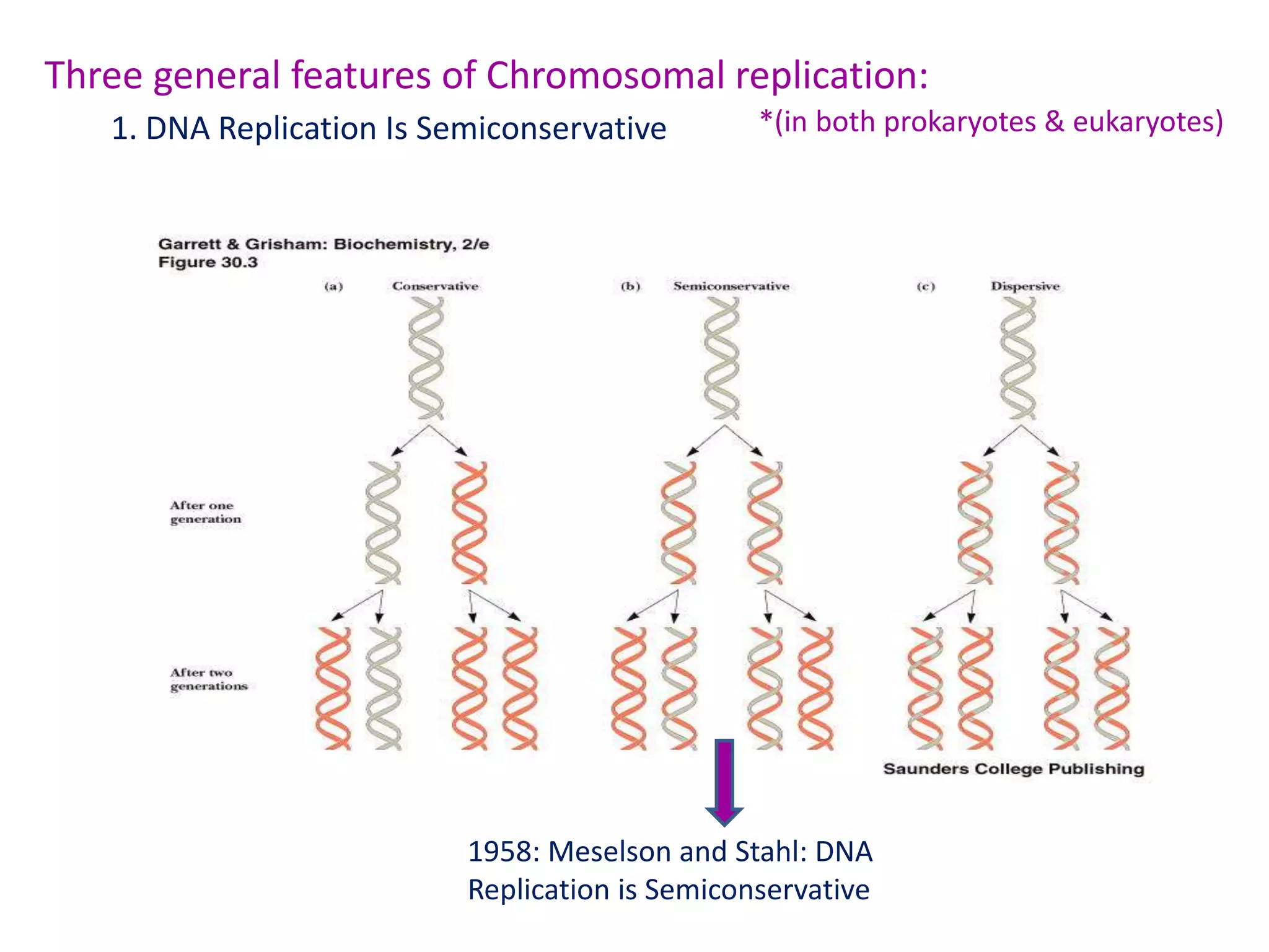 Bio108 Cell Biology lec 5 DNA REPLICATION, REPAIR and RECOMBINATION | PPT