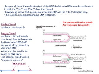 Bio108 Cell Biology lec 5 DNA REPLICATION, REPAIR and RECOMBINATION | PPTX