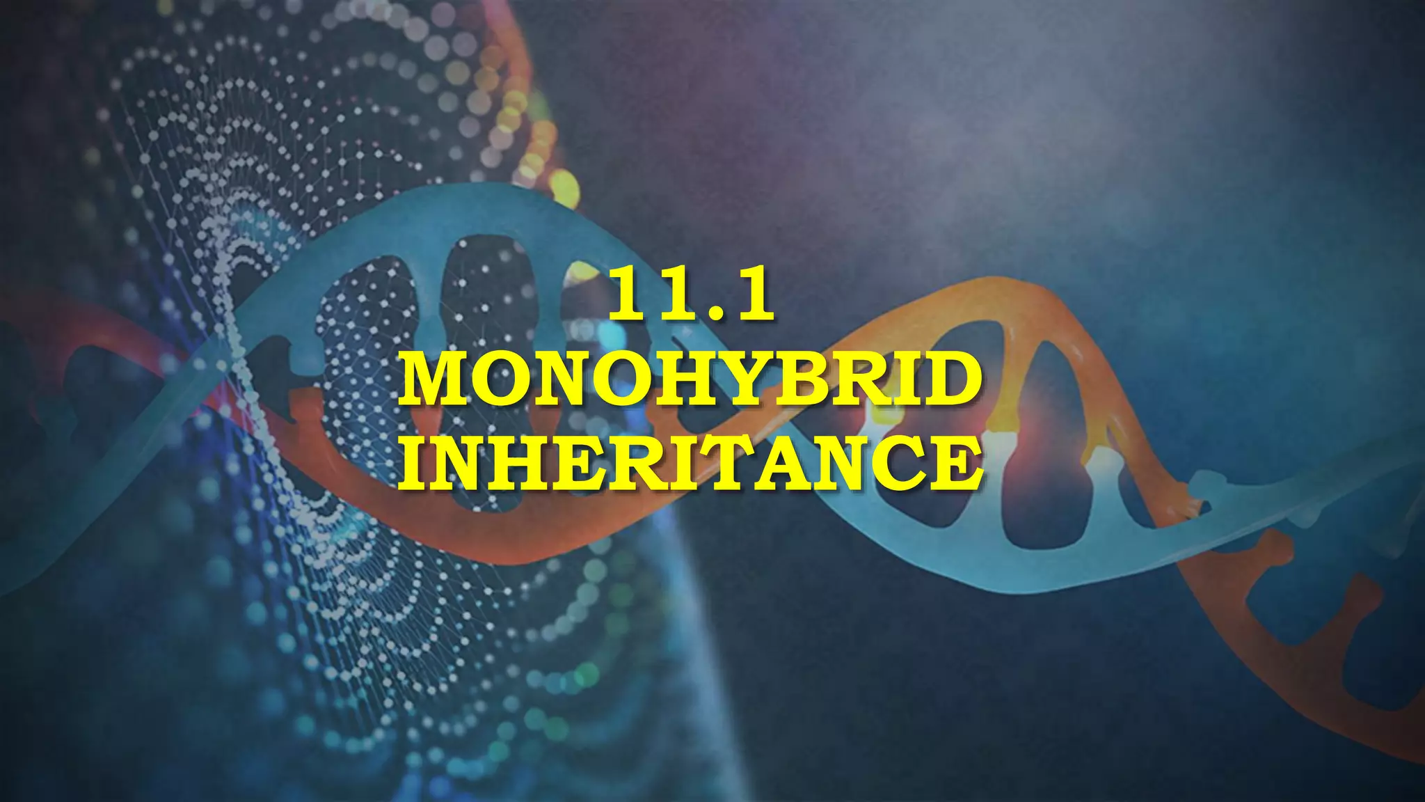 BIO 11.1 MONOHYBRID INHERITANCE.pptx