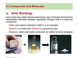 BIO 110- Chapter 2.pdf