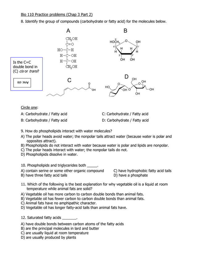 Bio110 practice problems chap3 part2 | PDF