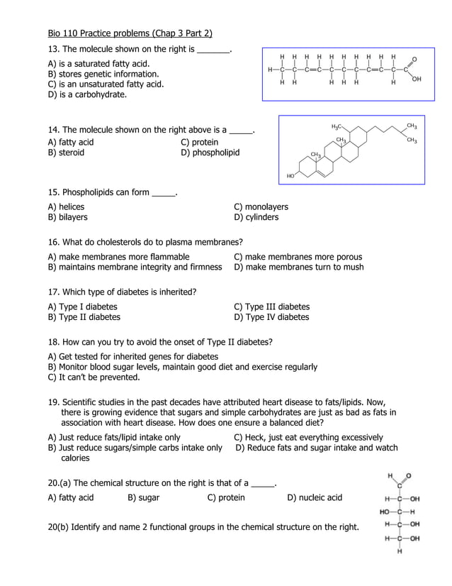 Bio110 practice problems chap3 part2 | PDF