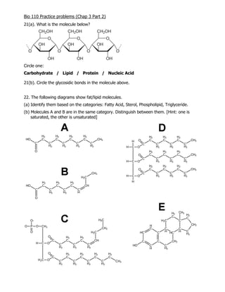 Bio110 practice problems chap3 part2 | PDF