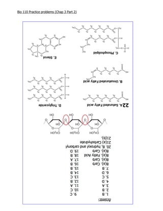 Bio110 practice problems chap3 part2 | PDF