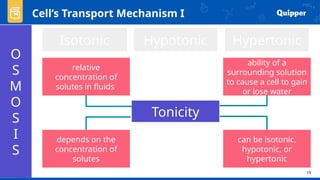 BIO 11_12 Q1 0402 PF FD Cells transport mechanism.pptx