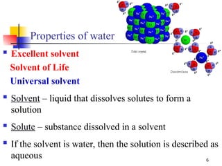 BIO111 Lecture 12 Chemical basis of life-water.ppt