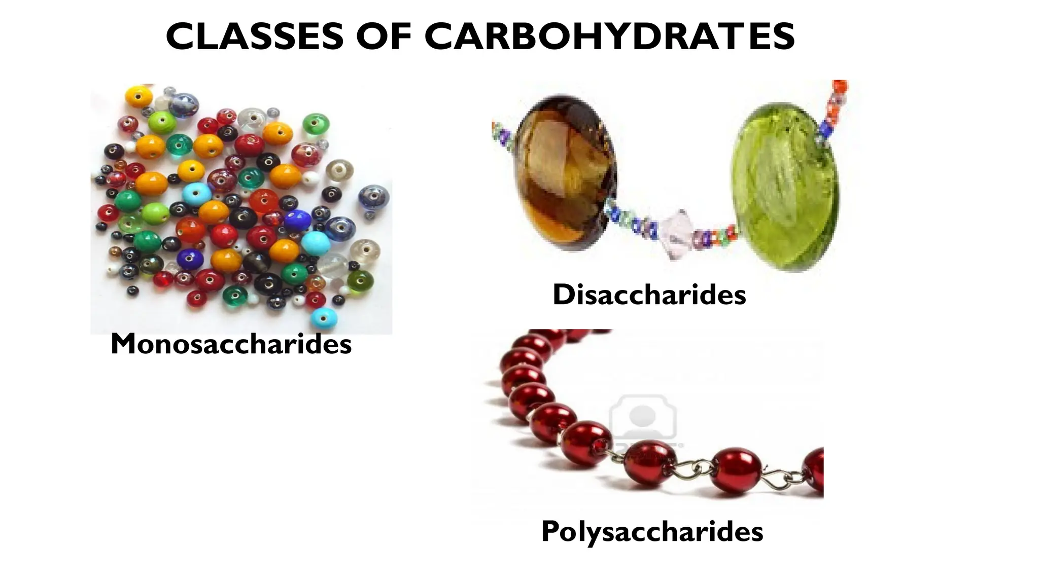 BIO 111 Lecture 4-CARBOHYDRATES MU C.ppt