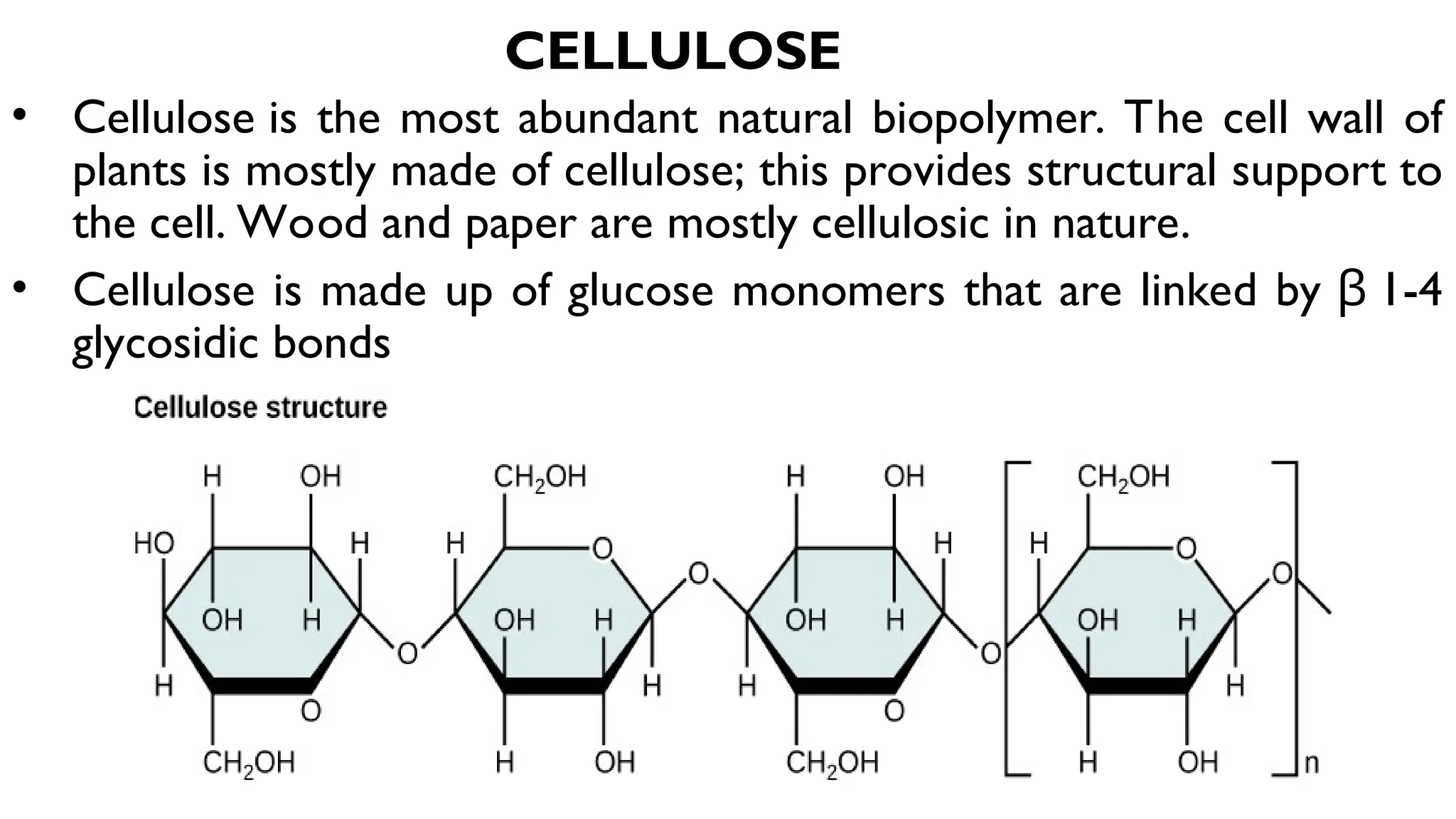 BIO 111 Lecture 4-CARBOHYDRATES MU C.ppt