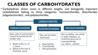 BIO 111 Lecture 4-CARBOHYDRATES MU C.ppt