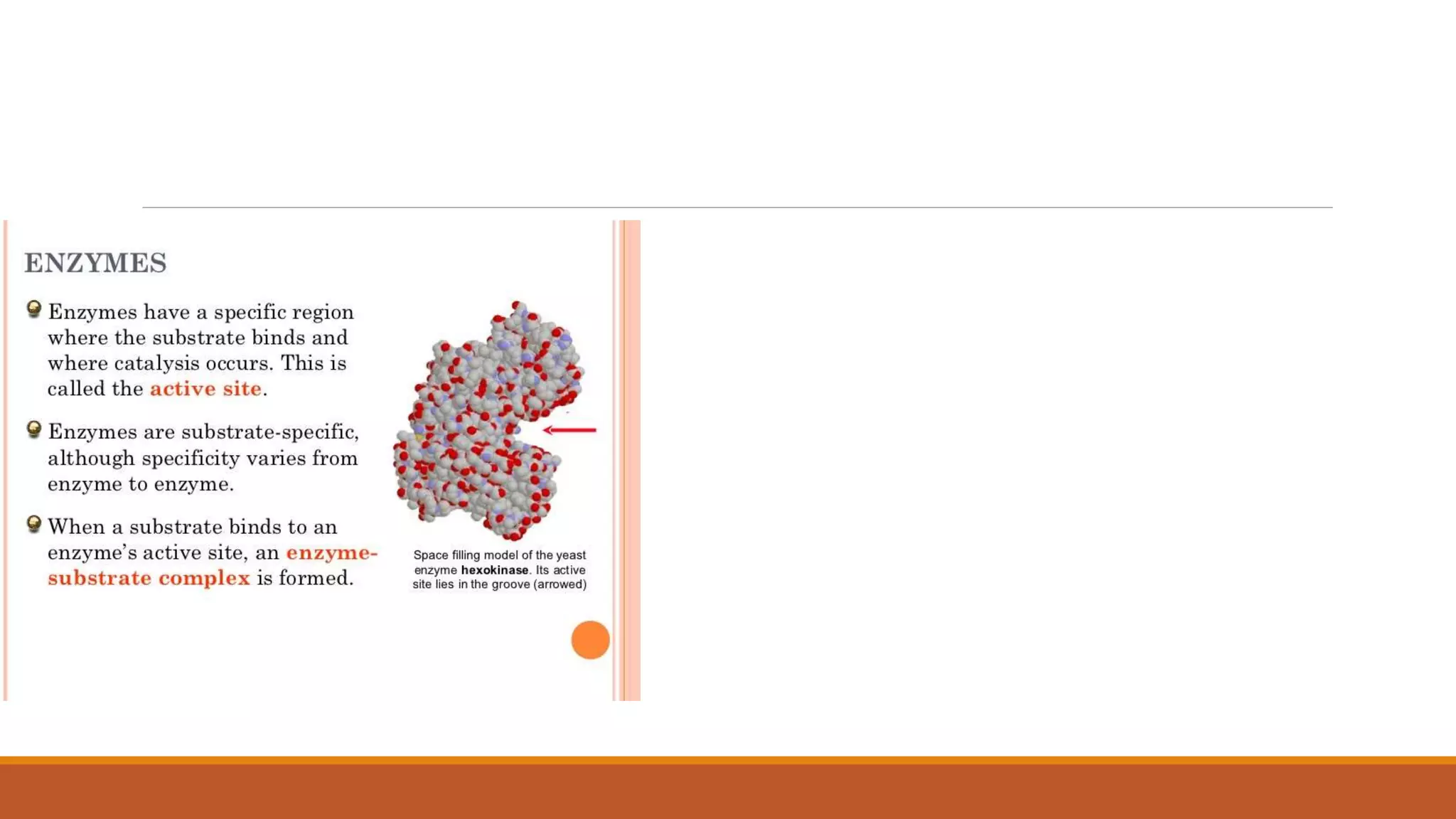 Bio112 presentation.pptx001 | PPT