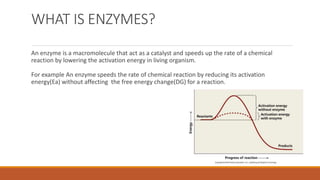 Bio112 presentation.pptx001 | PPT