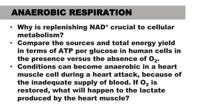 Cellular Respiration: Anaerobic Respiration | PPT